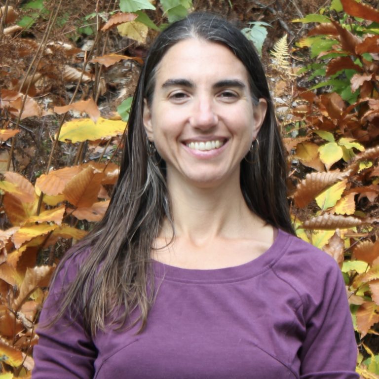 Michelle Downing, DPT, CFMT, OCS – Vermont (VT) Chapter of the APTA ...